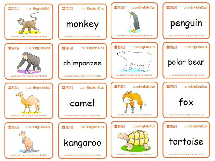 Presentation of the Lesson "ANIMALS". Grade: 1