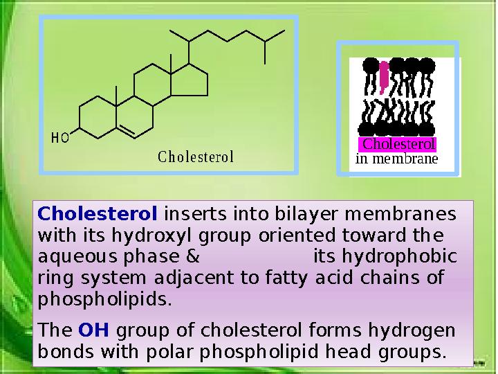 Lipids Introduction and classification