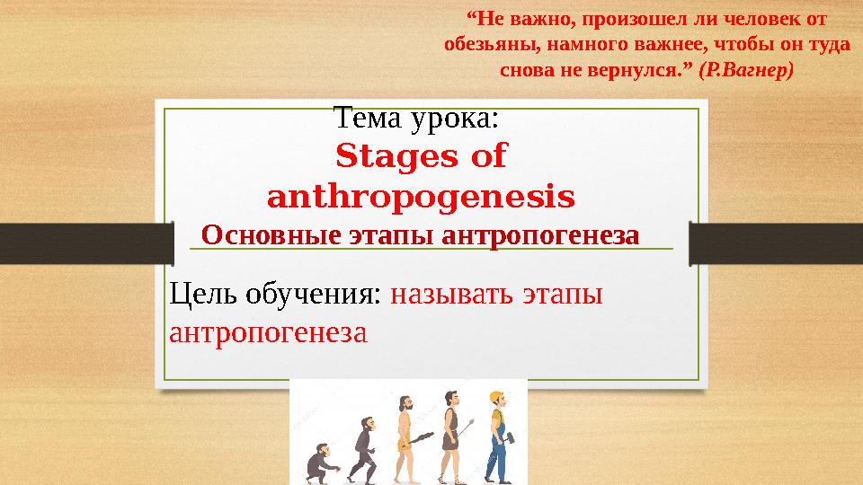 открытый урок:Stages of anthropogenesis.